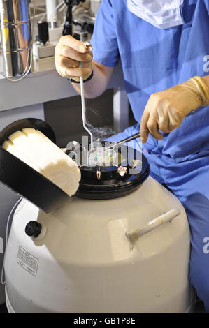 Lyndon Miles, Head of Embryology and Andrology for IVF Wales at the ...