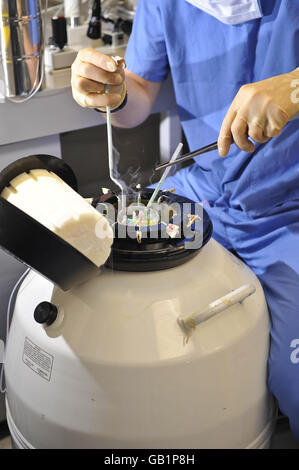 Lyndon Miles, Head of Embryology and Andrology for IVF Wales at the ...