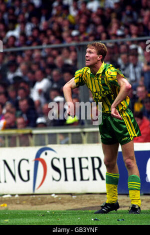 STEVE LILWALL WEST BROMWICH ALBION FC 10 September 1993 Stock Photo - Alamy