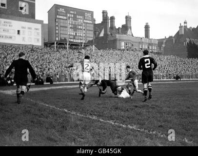 Brian Fitzpatrick, New Zealand Stock Photo - Alamy