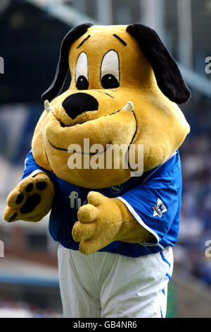 Beau Brummie, Birmingham City mascot Stock Photo - Alamy