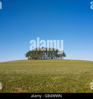 Landscape with trees group Stock Photo - Alamy
