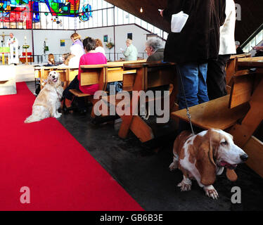 Owners with their pets attend a special service with a blessing animals ...