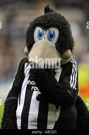 Newcastle United mascot Monty Magpie Stock Photo - Alamy