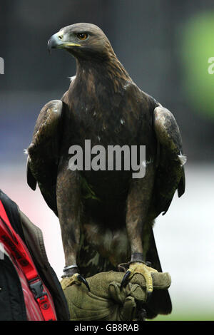 Mascot Golden Eagle Attila (Frankfurt) Frankfurt, January 9, 2026 ...