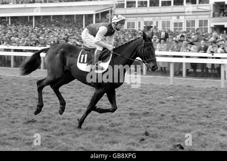 Wayward Lad, John Jo O'Neil up Stock Photo - Alamy