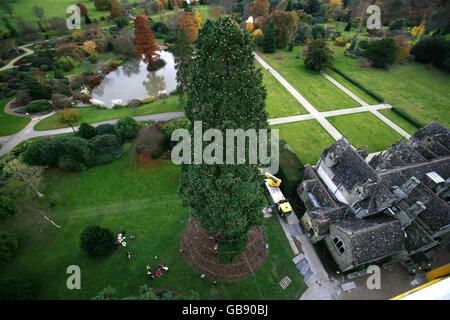 Aerial view of Wakehurst Place, Sussex Stock Photo - Alamy