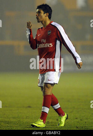 Arsenal's Eduardo Da Silva during the reserve match at Underhill ...