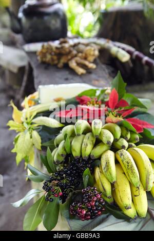 Luan mountain forest museum Stock Photo - Alamy
