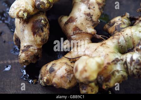 Luan mountain forest museum Stock Photo - Alamy