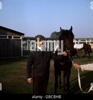 Horse Racing - Famous Horses - Mill Reef - Newbury - 1971 Stock Photo ...