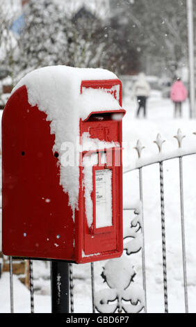 Close up of post box covered in Liberty print, located in the flower ...