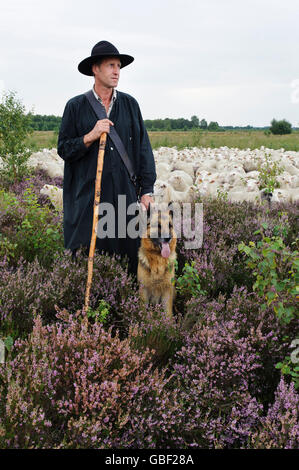 A vertical shot of a herd of sheep with a shepherd walking along a ...