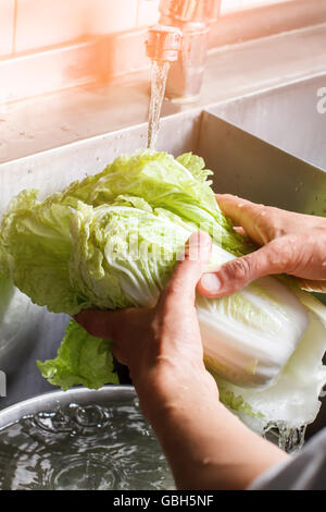Male hands wash chinese cabbage Stock Photo - Alamy