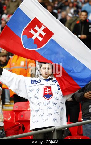 A Slovakia fan shows her support in the stands before the UEFA Euro ...