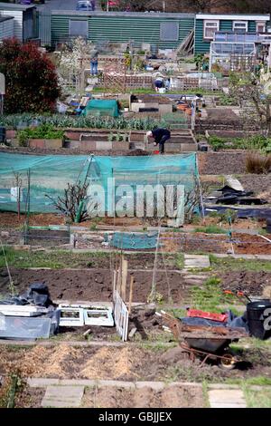 General view of allotments in Lister Drive, Liverpool Stock Photo - Alamy
