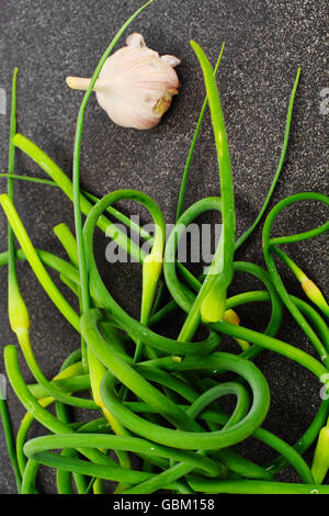 Green and white stalks of young green garlic in spring Stock Photo - Alamy