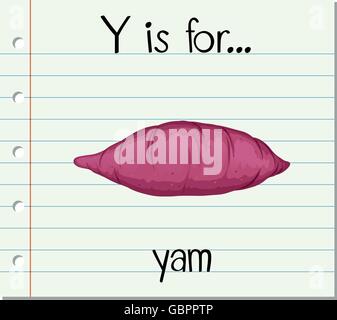 Flashcard letter Y is for yam illustration Stock Vector Image & Art - Alamy