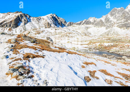Winter landscape in the Tatra Mountains Stock Photo - Alamy