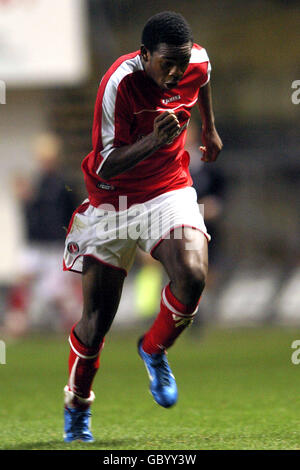 Soccer - Premier Reserve League - Charlton Athletic v Portsmouth Stock ...