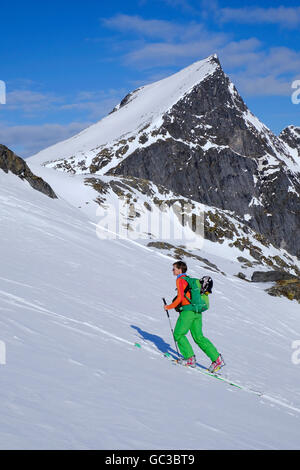 Woman ski touring, climb to Hesten, Fjordgard, Island Senja, Norway ...
