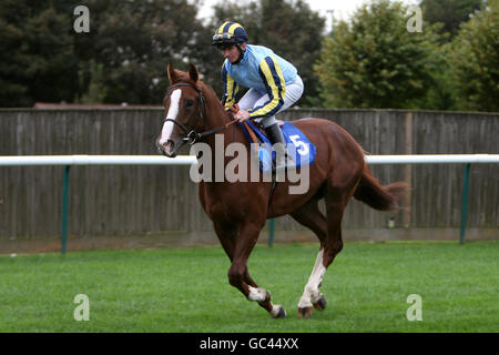 Jockey Tom McLaughlin goes to post on Varachi for the Buy A Racing Post ...