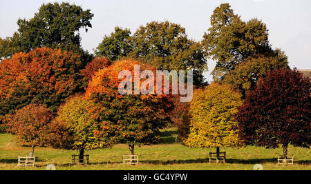 Autumn scene in Wollaton park Nottingham England UK Stock Photo - Alamy