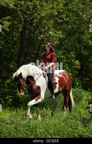 Attractive woman riding horse bareback in ranch pasture Stock Photo - Alamy