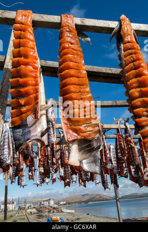 Drying salmon on fish racks, Chilkoot River, Alaska, August 14, 1911 ...