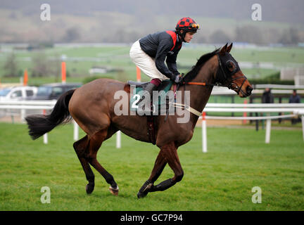 Jockey Charlie Huxley on Sovereign King (left) jumps ahead of Tjade ...