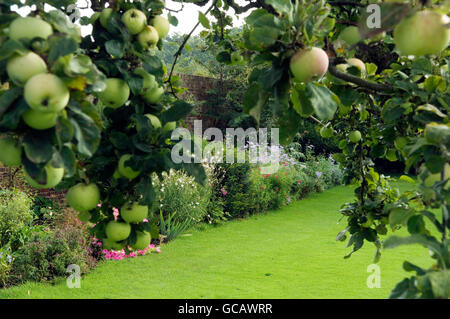 Apple Trees Grown in the Walled Kitchen Garden at Tatton Park ...