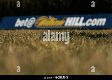 Horse Racing - Celtic Day - Flos Las Racecourse Stock Photo - Alamy