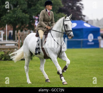 Competitor jumping in the working hunter class on the first day of the ...