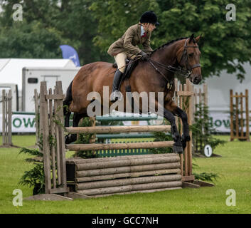 Competitor jumping in the working hunter class on the first day of the ...