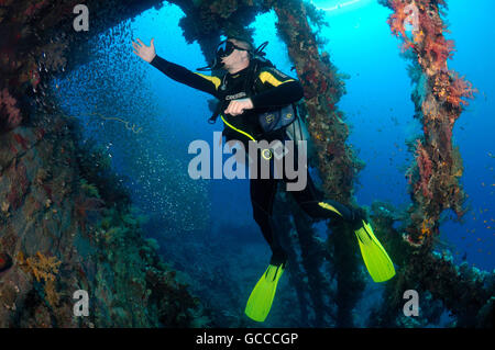 Male scuba diver inside the wreck of the SS Dunraven, Red Sea, Egypt ...