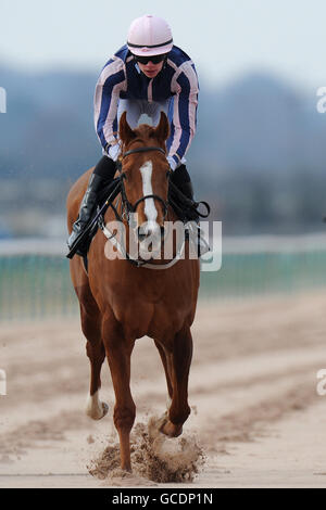 Jockey Matthew Davies on Kummel Excess (right) gallops against Graham ...