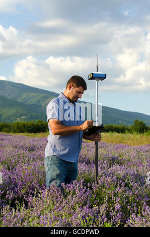 Land surveyor working in a lavender field and waiting for help Stock ...
