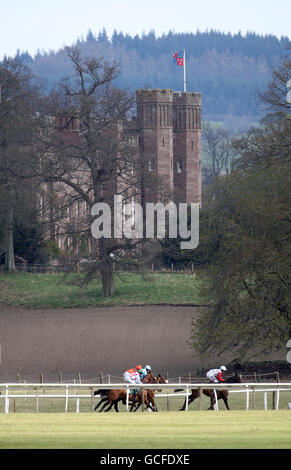 A general view of runners and riders at Perth racecourse with Scone ...