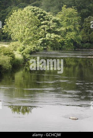 Declan Shanley death Stock Photo - Alamy