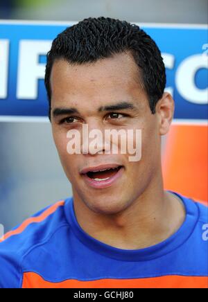Michel Vorm, Netherlands goalkeeper Stock Photo - Alamy