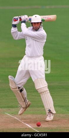 CRICKET. DAVID HEMP, GLAMORGAN CCC Stock Photo - Alamy