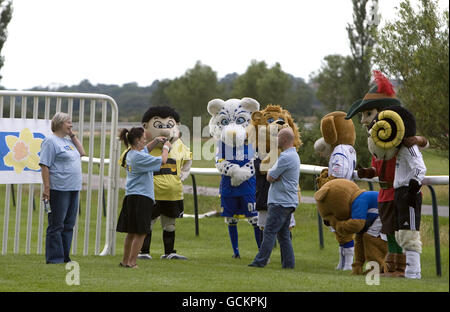 Nottingham Forest's mascot Robin Hood Stock Photo - Alamy
