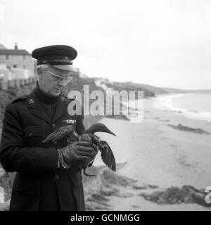 The Torrey Canyon a Crude Oil tanker which sank off the shores of ...