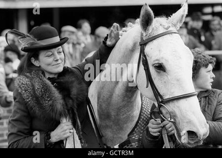 Mrs Burridge, wife of the owner Richard Burridge, with Desert Orchid ...