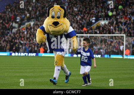 Birmingham City mascot Beau Brummie Stock Photo: 136160688 - Alamy