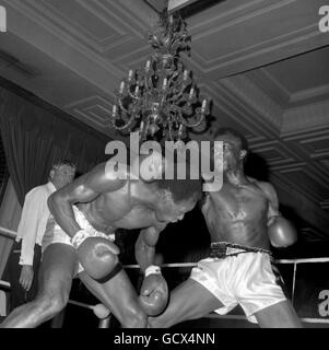 Boxing - British Middleweight Title - Bunny Sterling v Phil Matthews ...