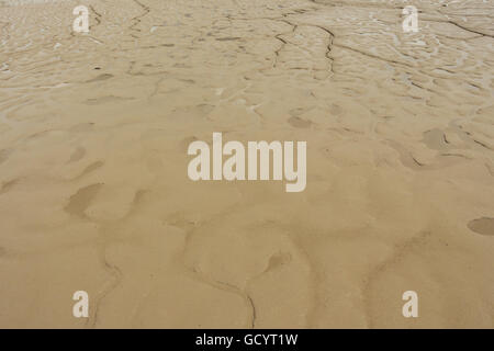 meandering pools and puddles left in silt and mud in River Thames ...