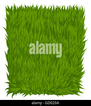 Green grass. Natural grass texture background. Meadow. Spring, summer ...