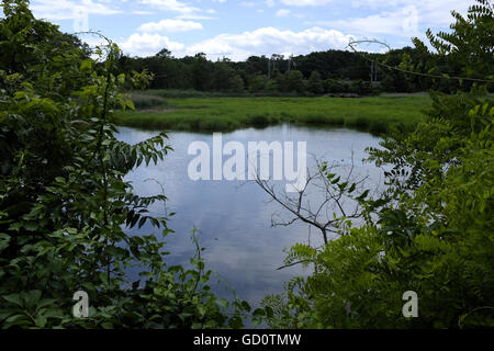Matawan Creek - Site of the two fatal shark attacks on the New Jersey ...