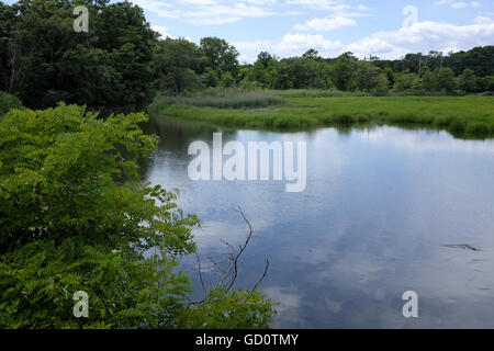 Matawan Creek - Site of the two fatal shark attacks on the New Jersey ...
